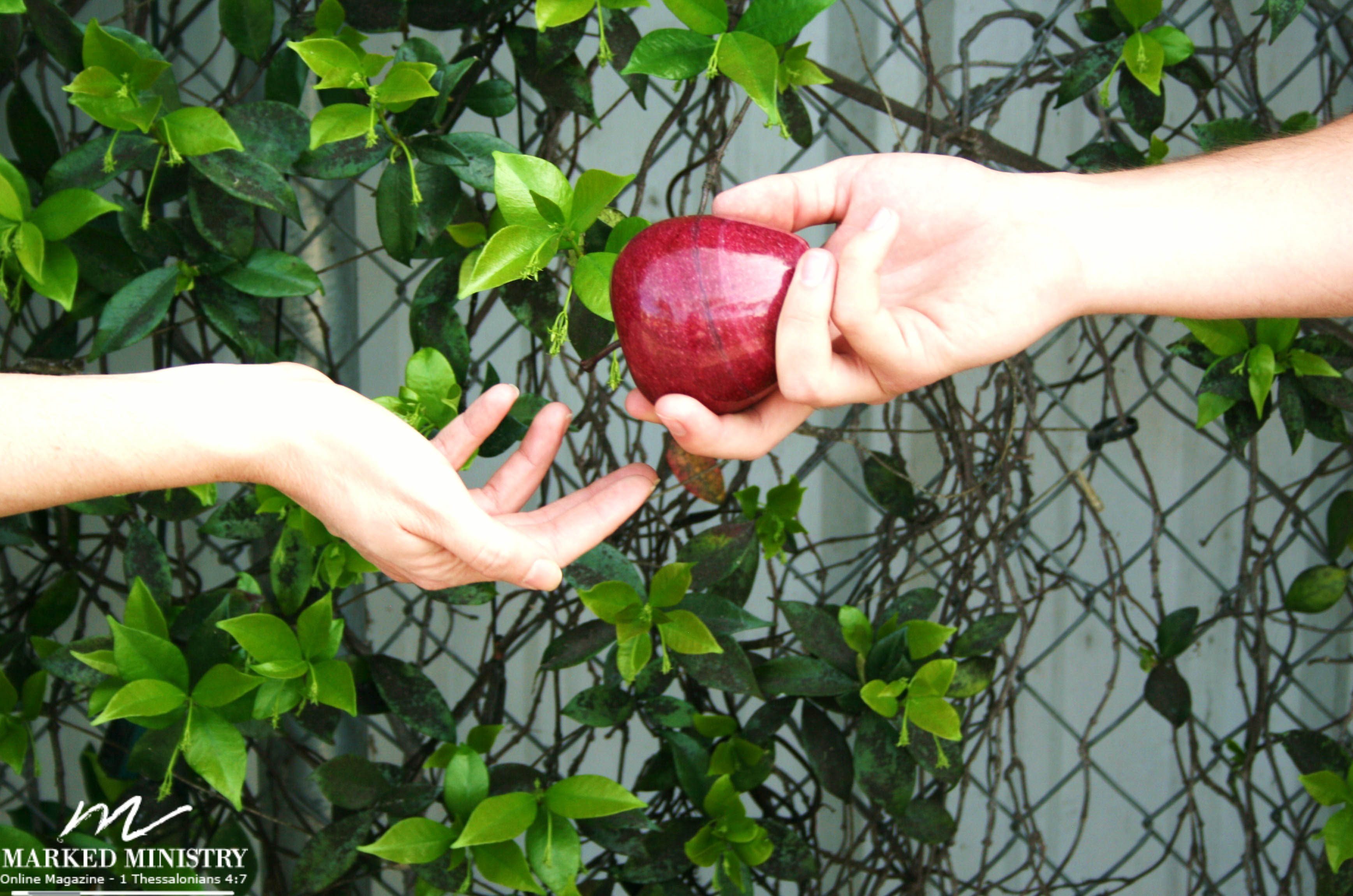 Five Ways to Flee From Temptation – MARKED MINISTRY