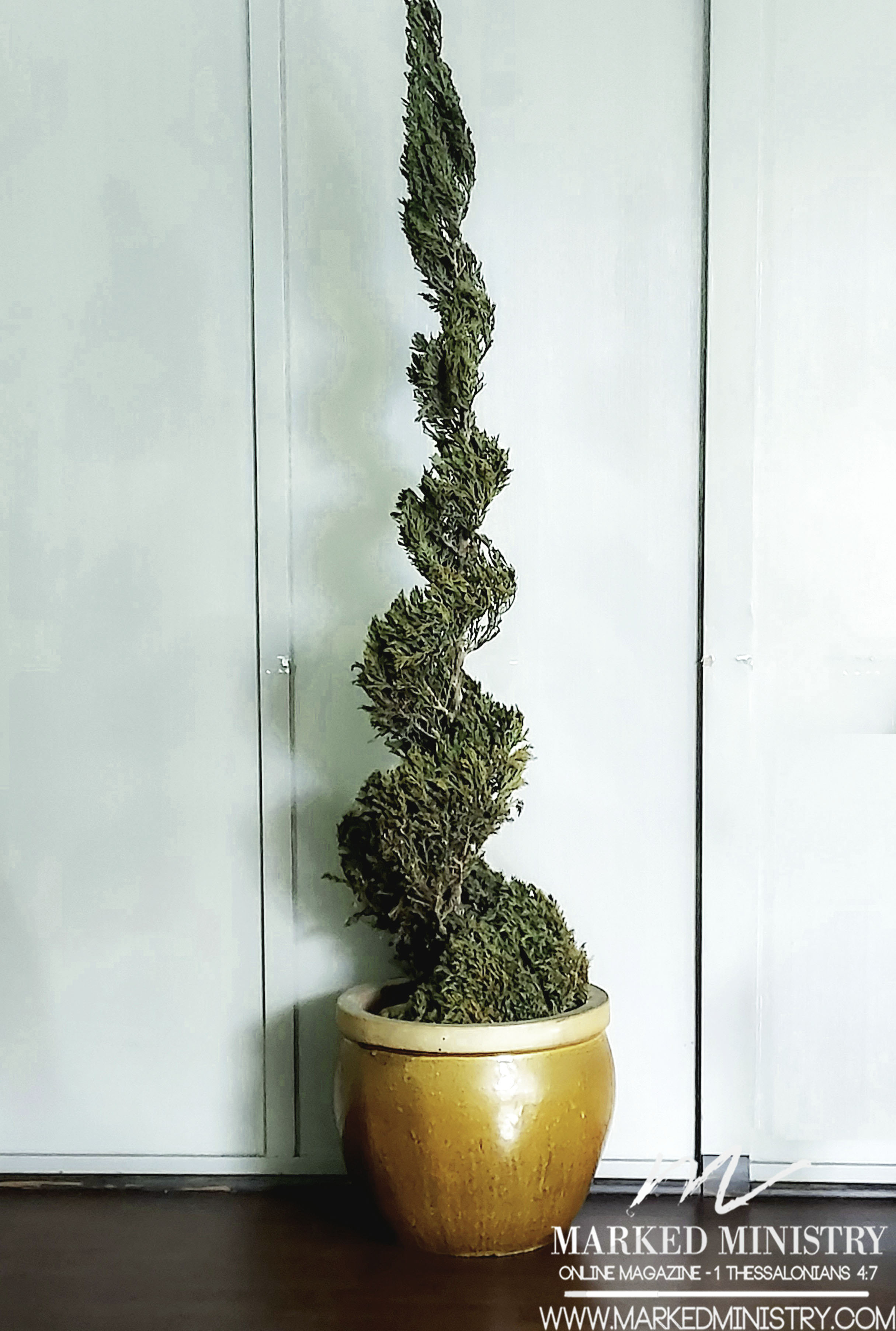 Being Made Pure – MARKED MINISTRY